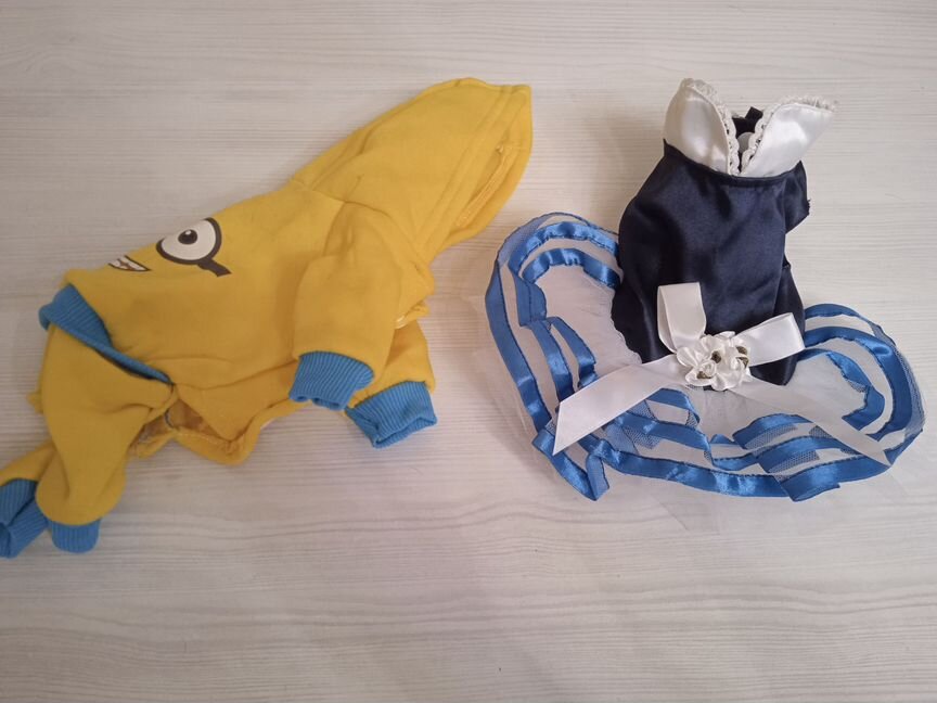 Одежда для маленьких собак