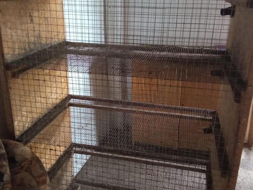 Клетки для птицы, крупорушка, поилки и кормушки