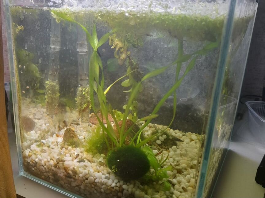 Аквариум и полюдариум