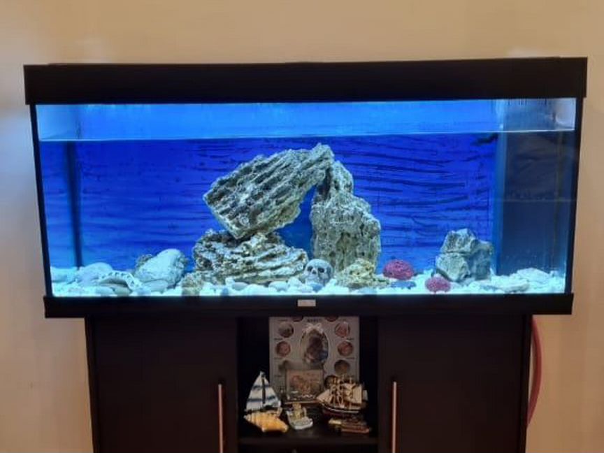 Аквариум с тумбой juwel Rio 240