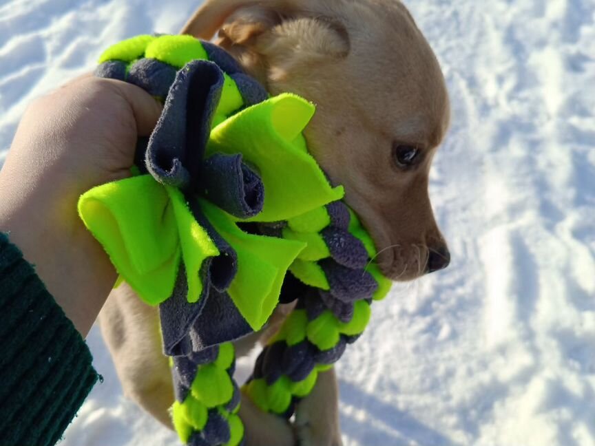 Флисовые игрушки для собак