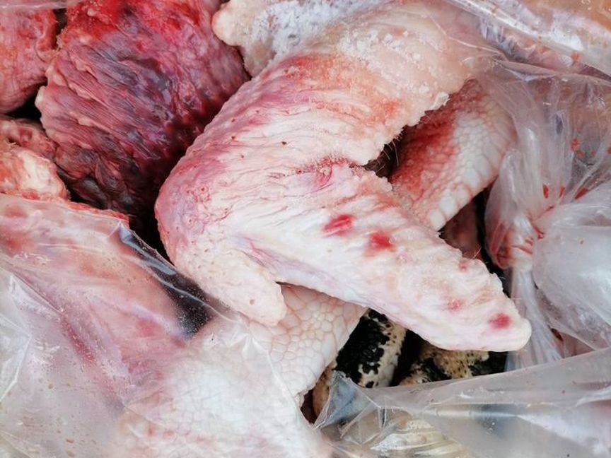 Отходы индейки для собак и кошек