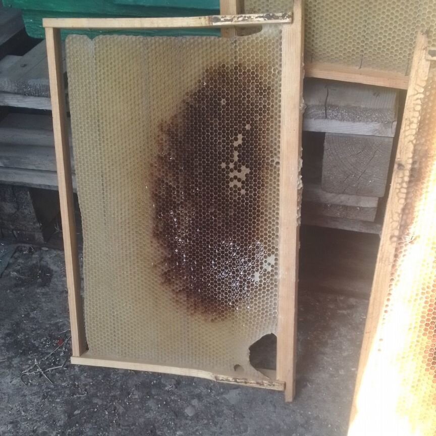 Рамки для пчел дадан