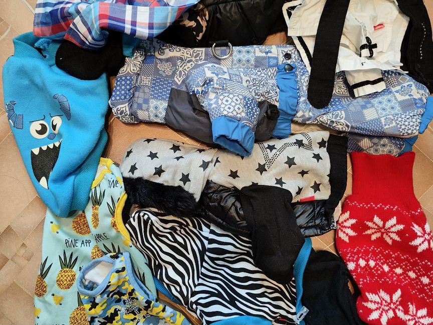 Пакет вещей на маленькую собаку