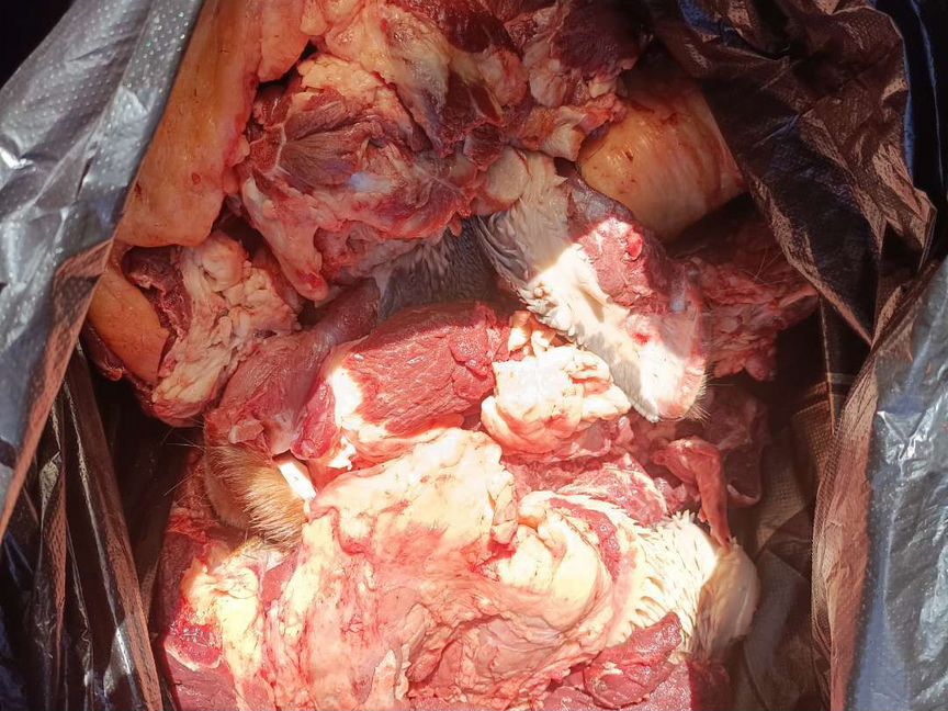 Говяжьи обрези для собак