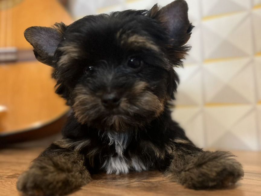 Мальчик самый самый