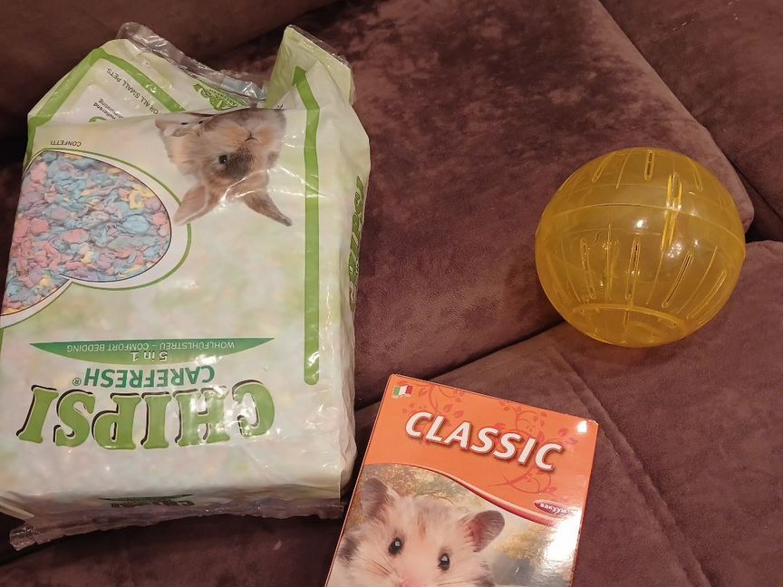 Вещи для хомяка