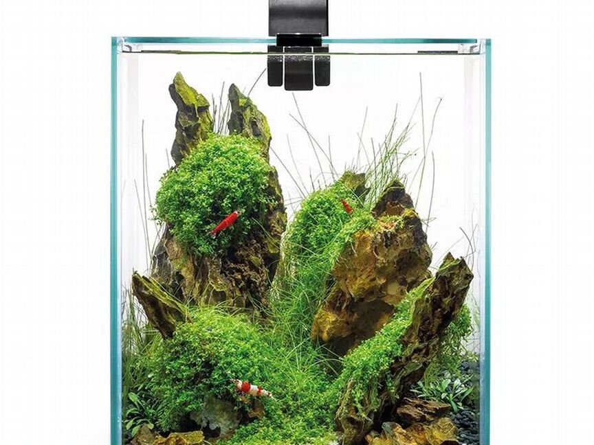 Аквариум aquael 30 л полный комлект