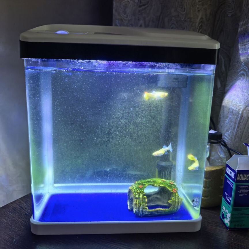 Аквариум с 3 рыбками гуппи