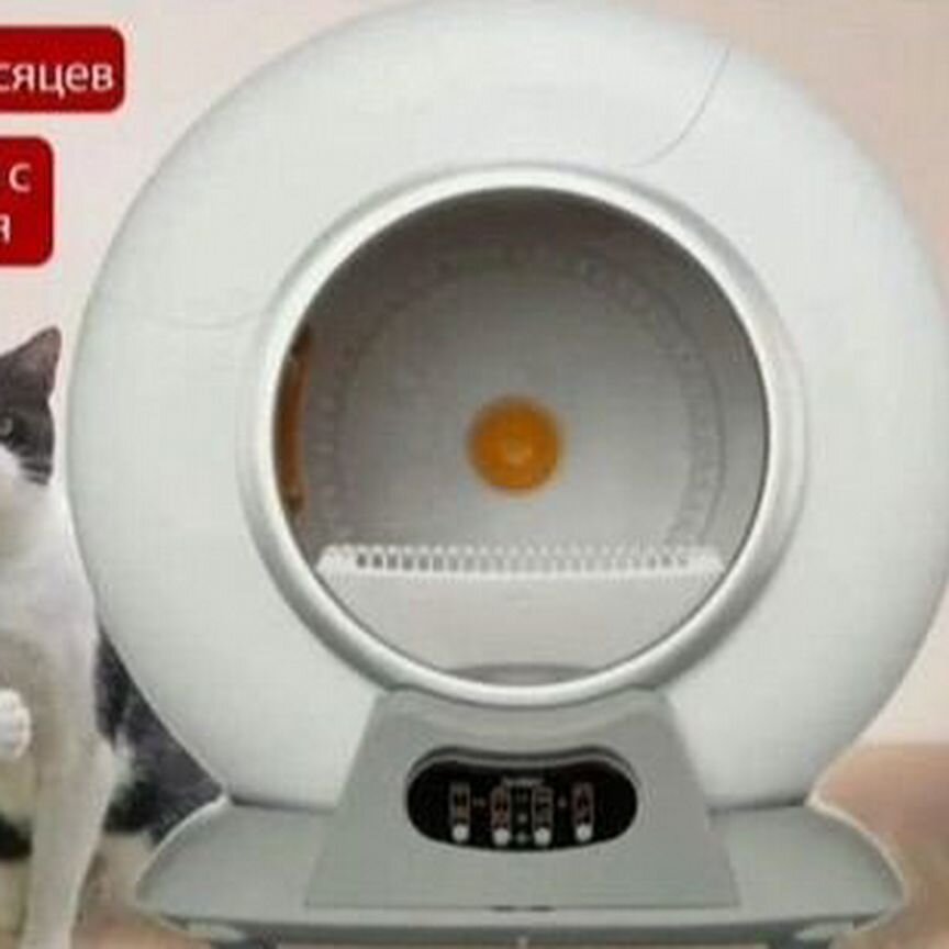 Патомптичнсеий туалет