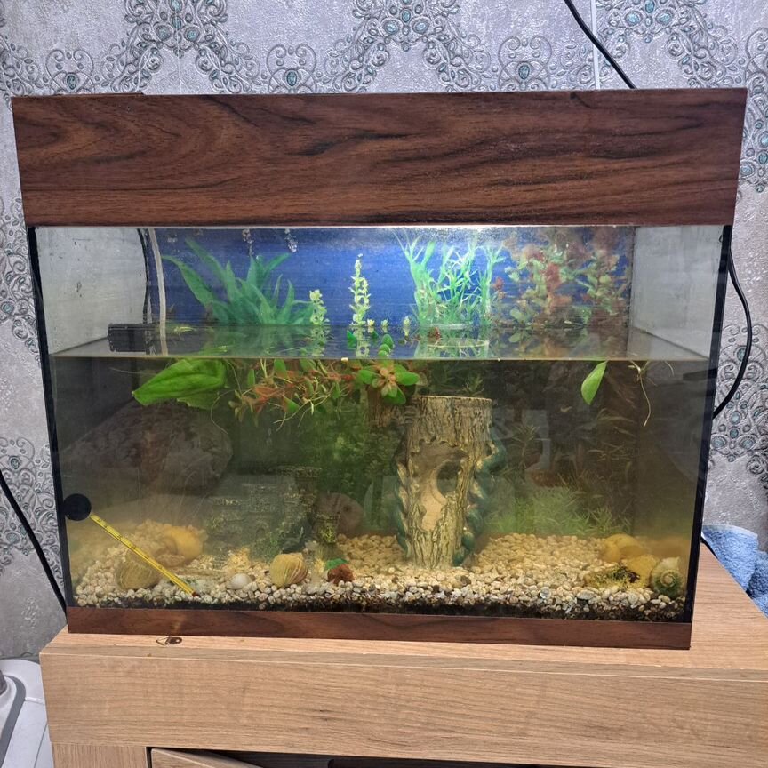 Аквариум на 50 л с рыбками
