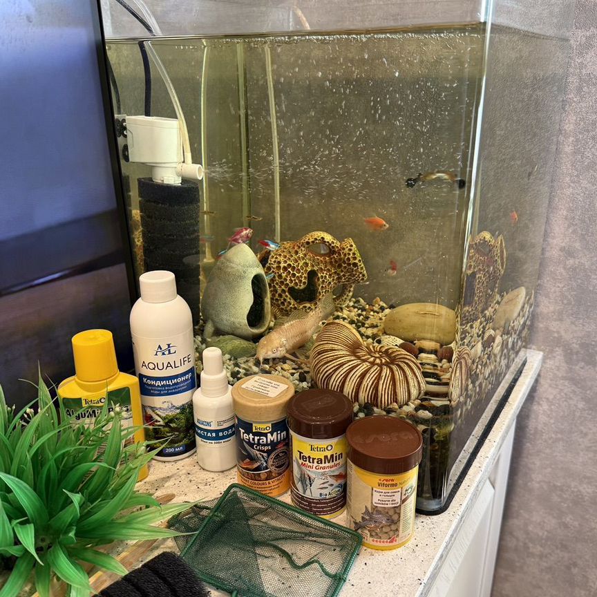 Аквариум 31л с рыбками