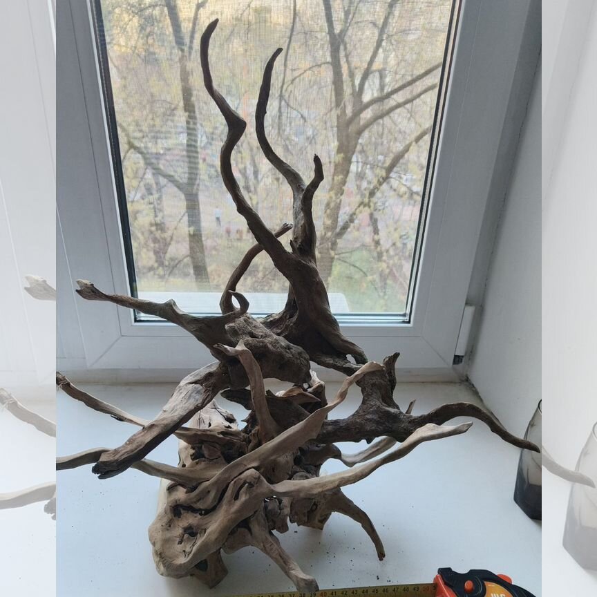 Коряги мангровые