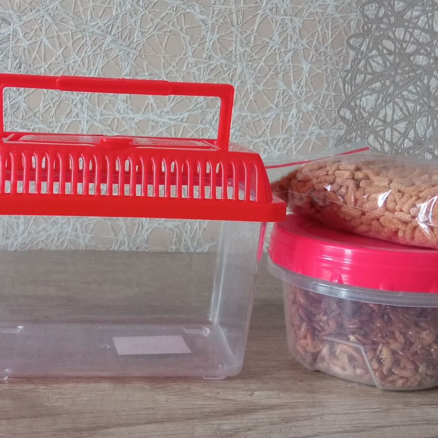 Переноска для черепах