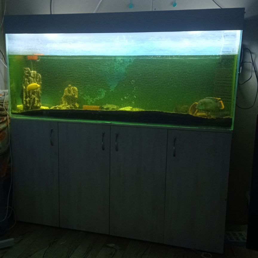 Аквариум (360 литров)