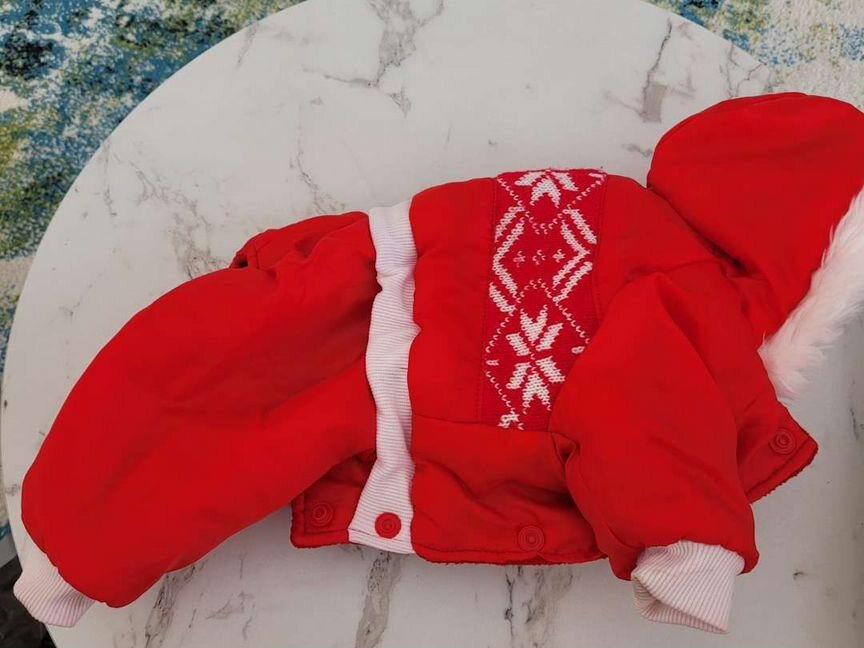 Одежда для маленьких собак