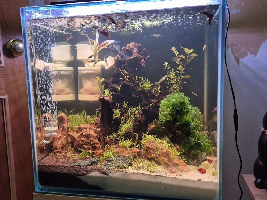 Аквариум куб