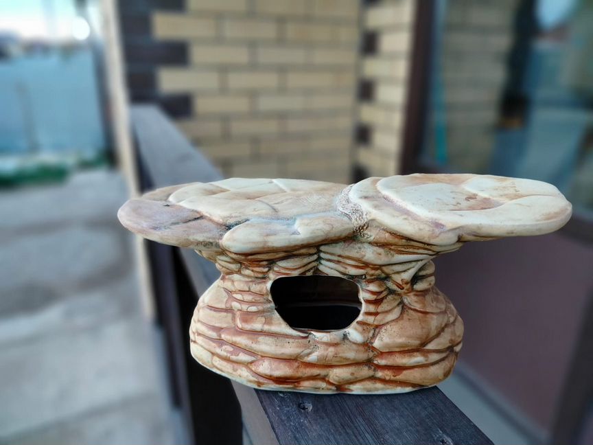 Островок для черепахи