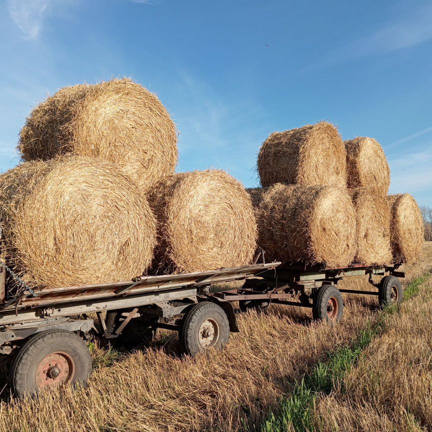 Сено солома в тюках