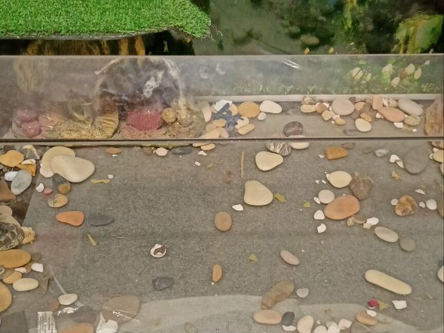 Террариум большой