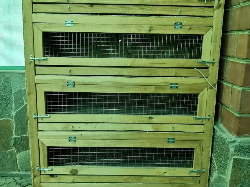 Брудер для птенцов