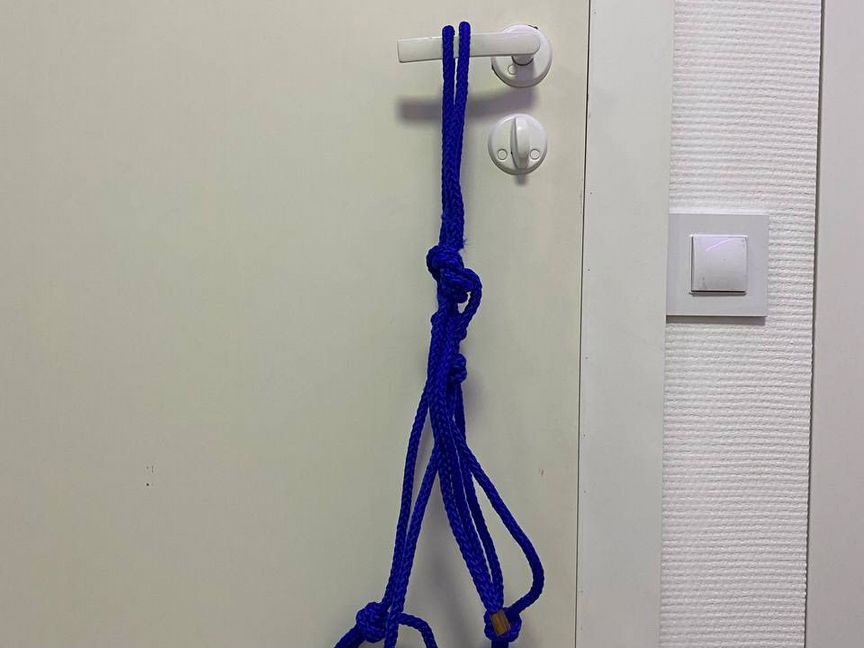 Недоуздок для лошади