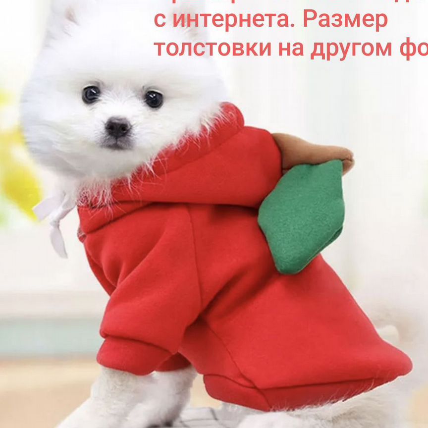 Толстовка яблоко для собак