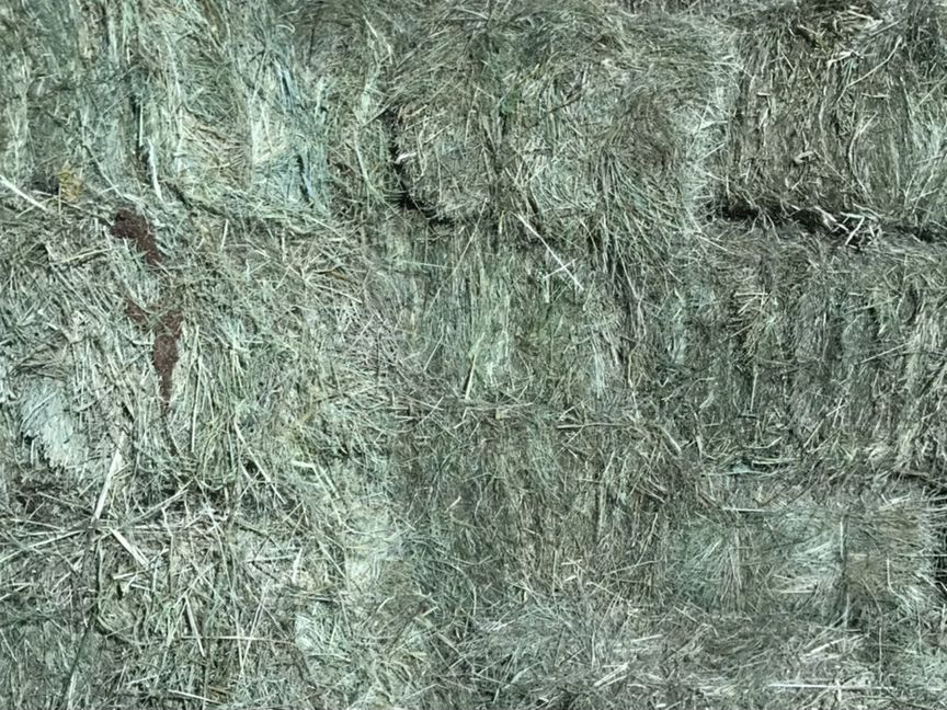 Сено солома в тюках