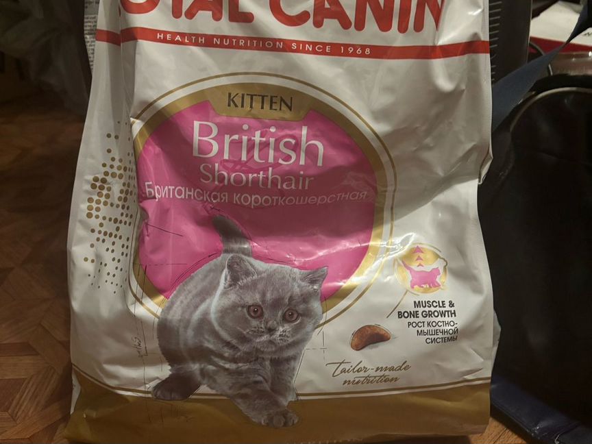 Корм для котят royal canin