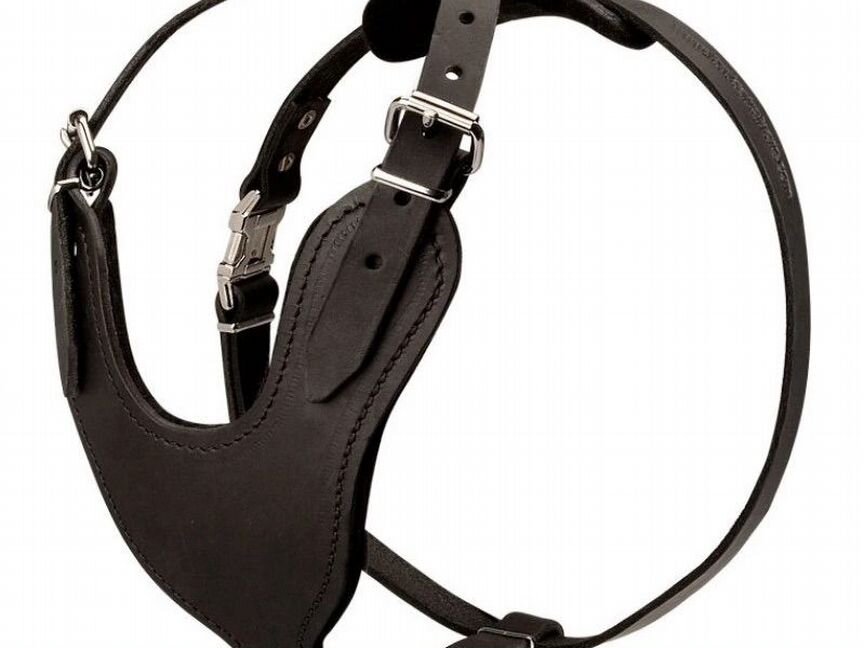 Шлейка Fordogtrainers