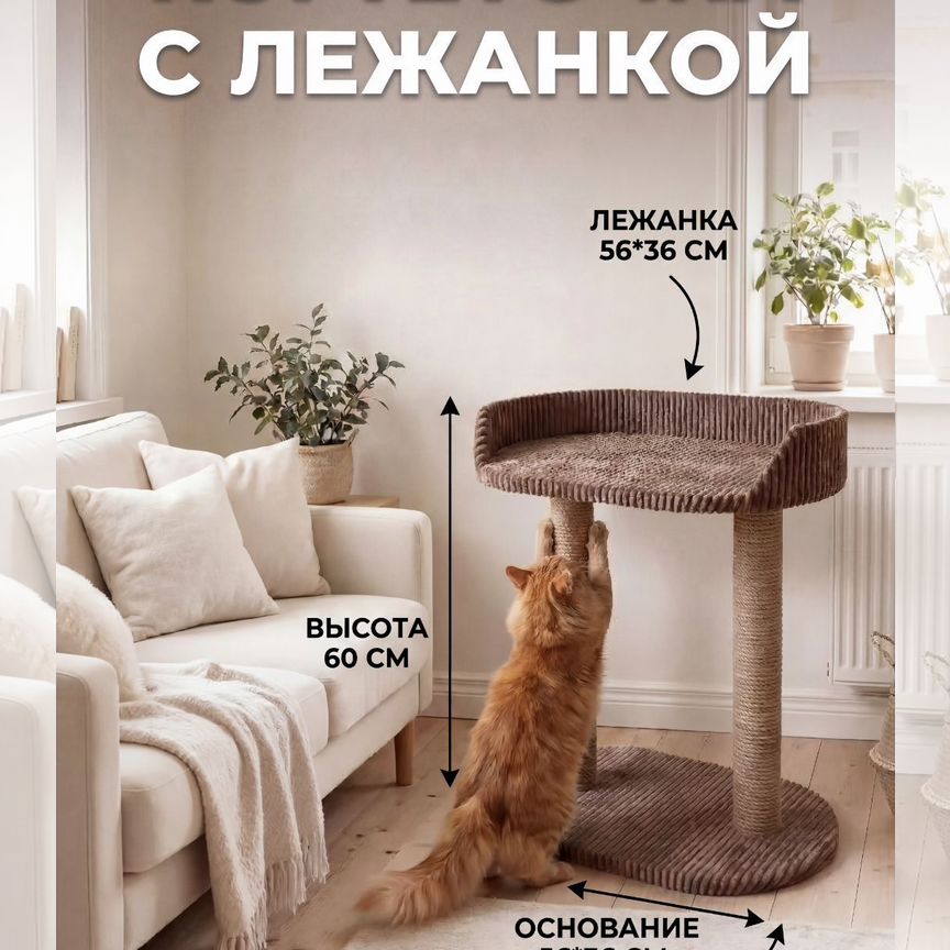 Когтеточка