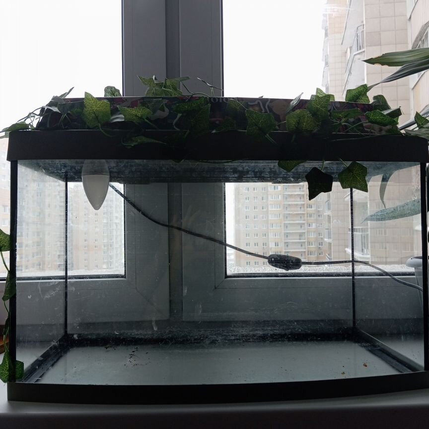 Аквариум террариум фаунариум