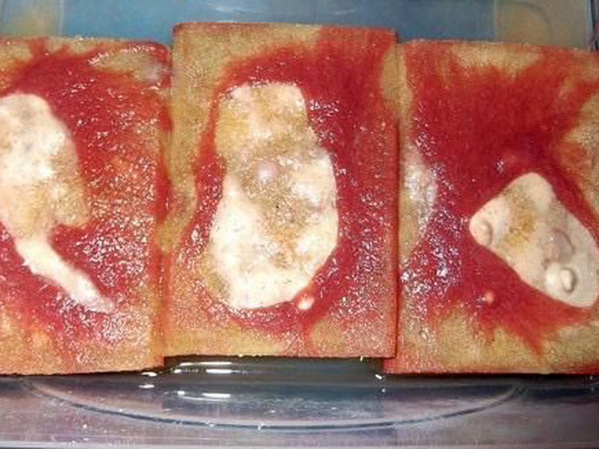 Аулофорус