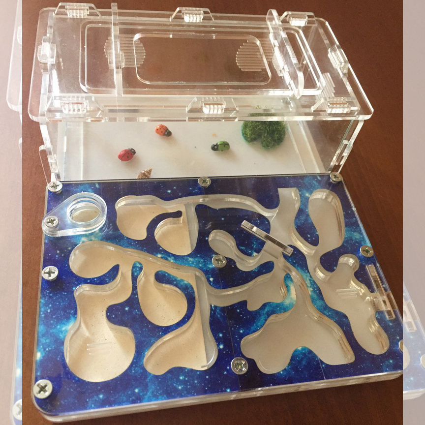 Муравьиный дом