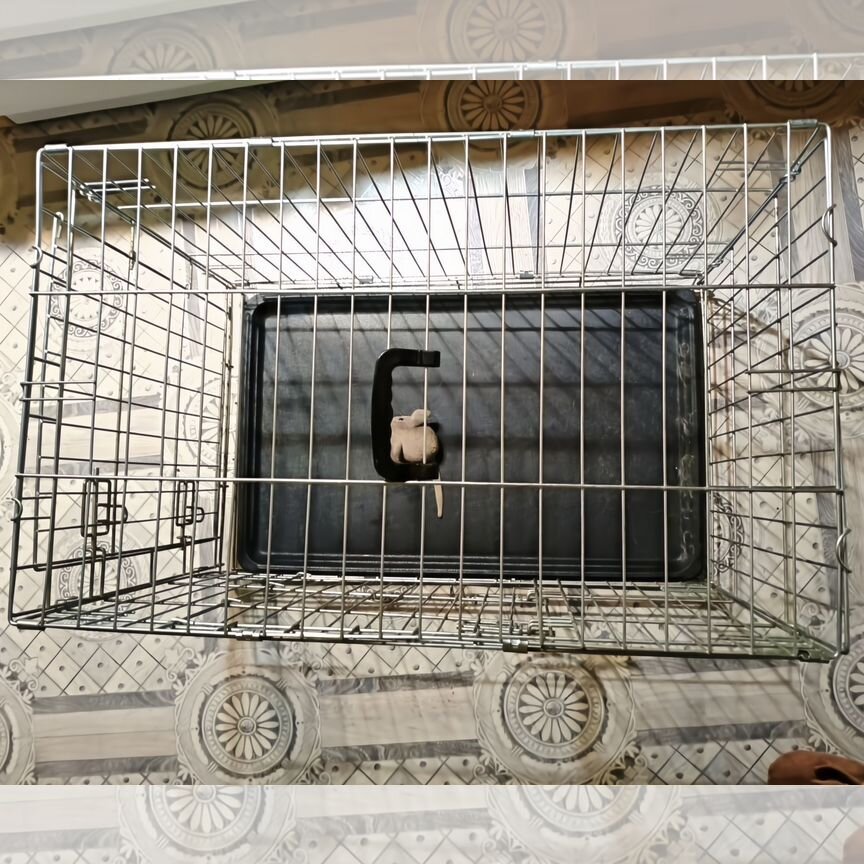 Клетка бу для собаки