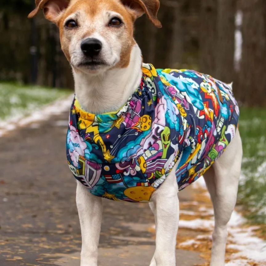 Жилетка для собак Lucky Dog