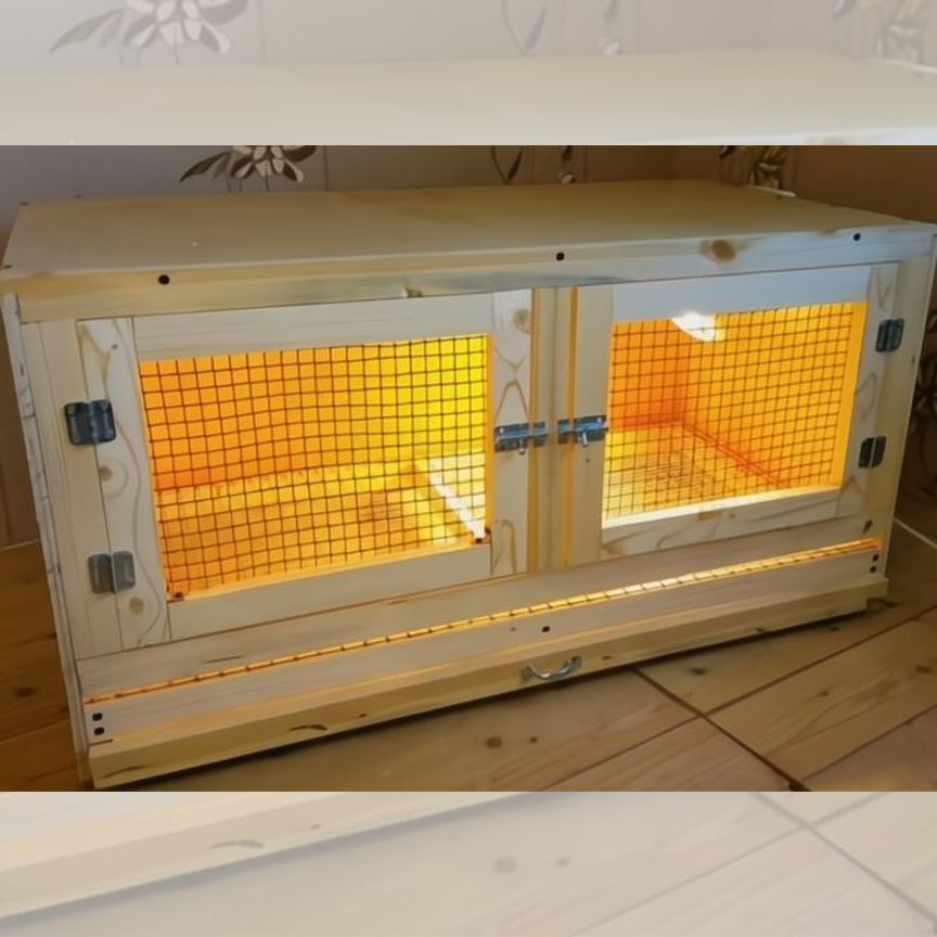 Брудер для 50 цыплят