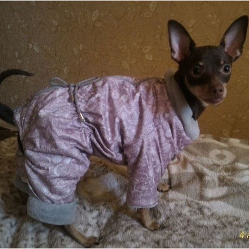 Зимний комбинезон