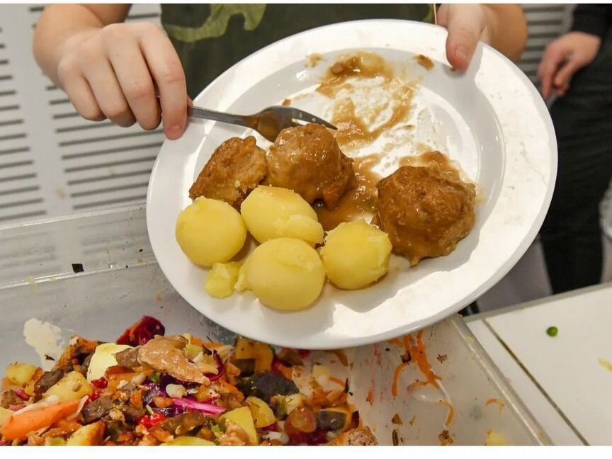 Пищевые отходы для животных