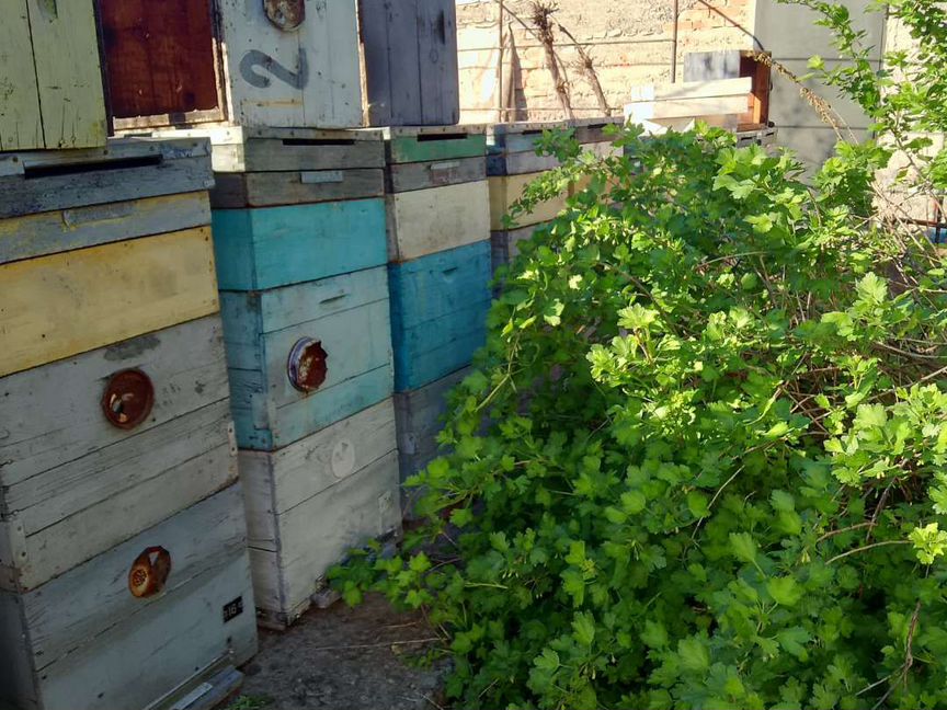 Продам ульи десятирамочные дадан