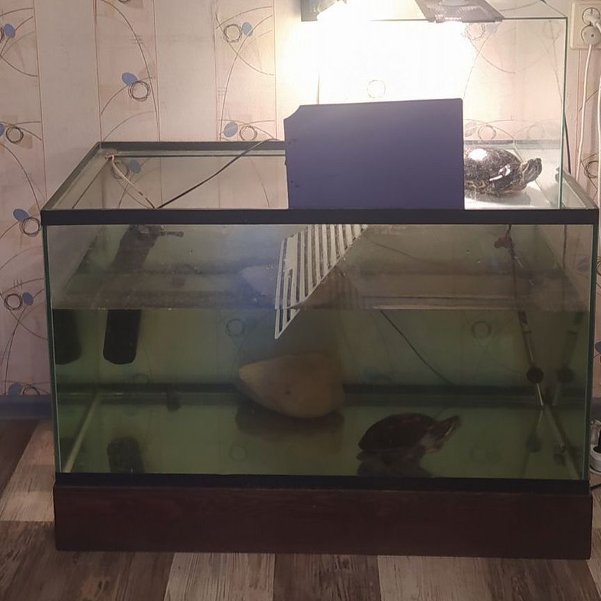 Аквариум с черепашками