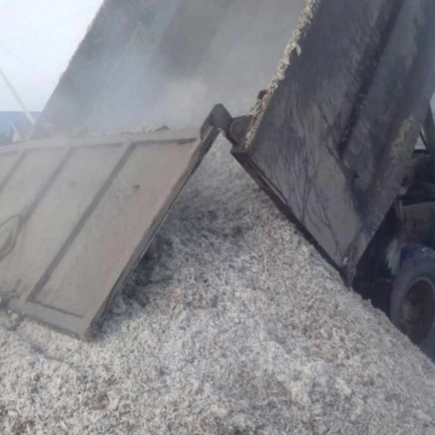 Жом свекловичный сырой