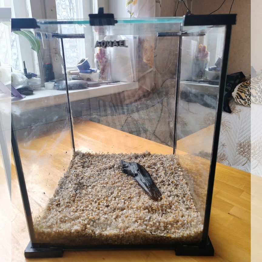 Аквариум на 25 литров