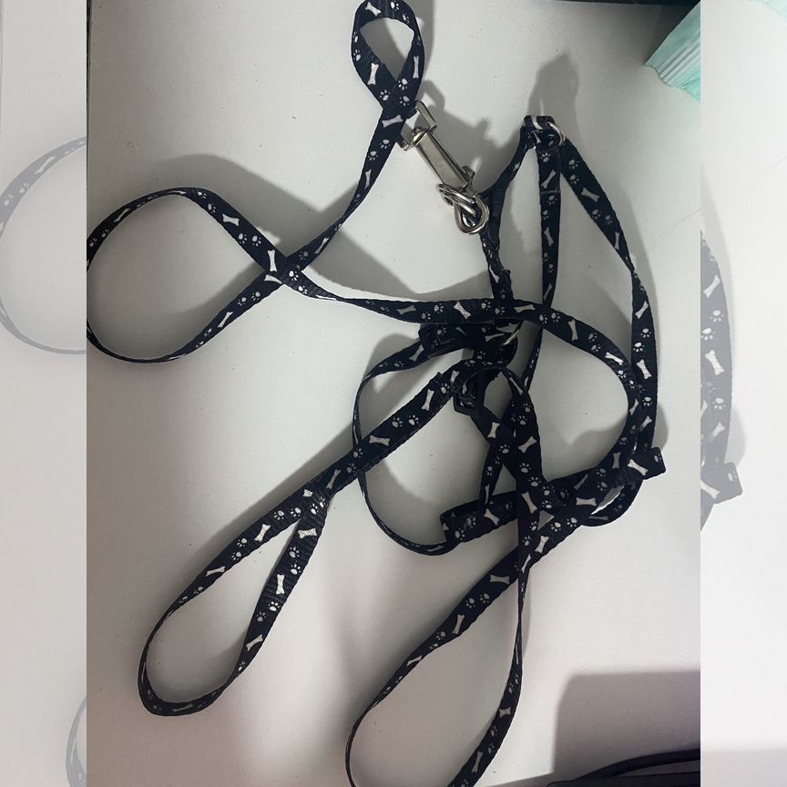 Шлейка для кошки