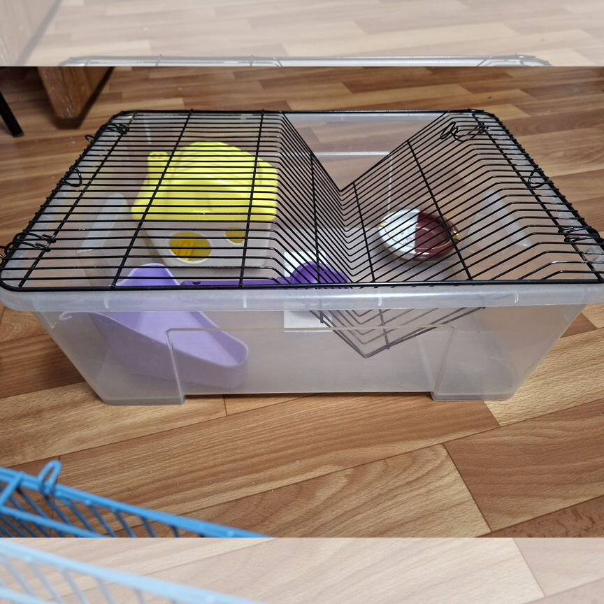 Клетки для грызунов бу