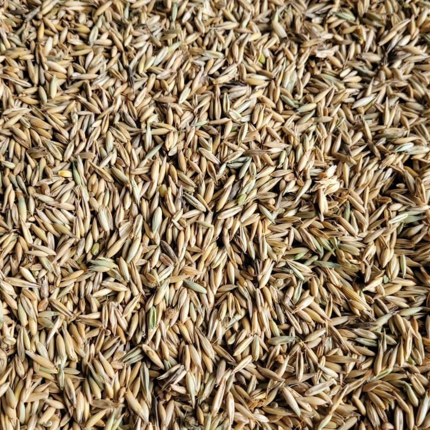 Овес, ячмень, пшеница, зерноотходы(пшеница,гречка)