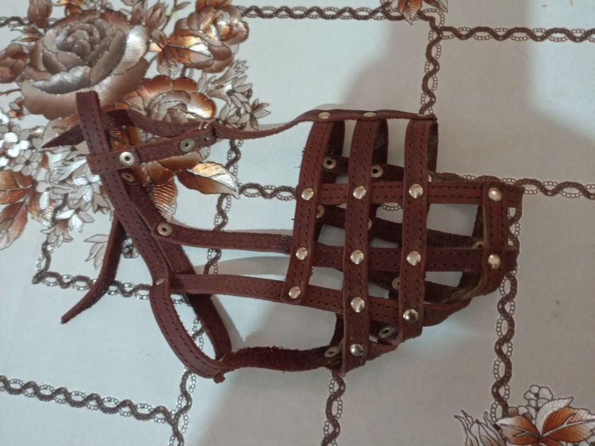 Намордник для собак