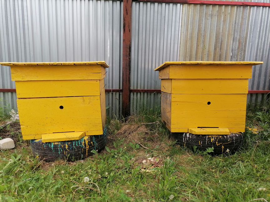 Улей для пчел