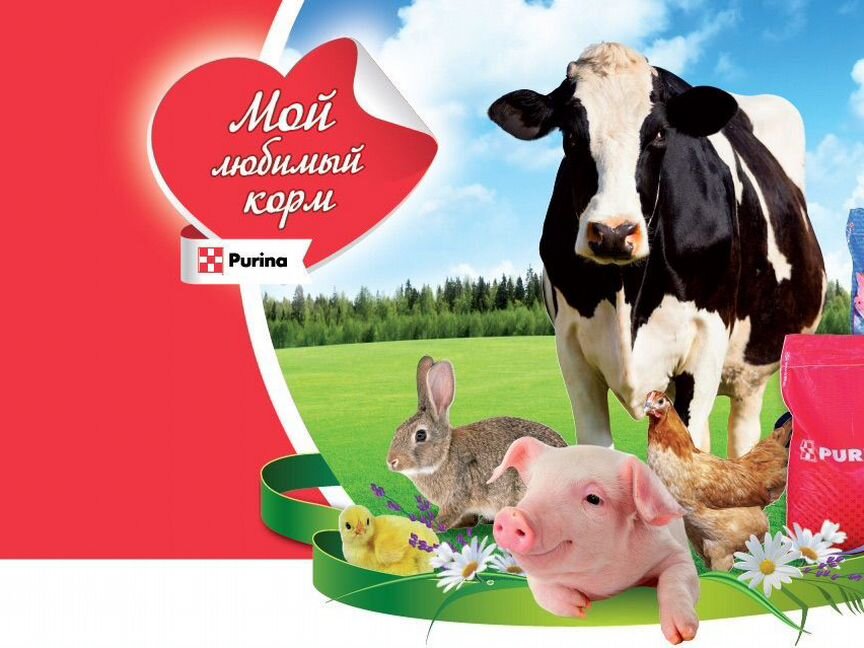 Комбикорм Пурина доставка