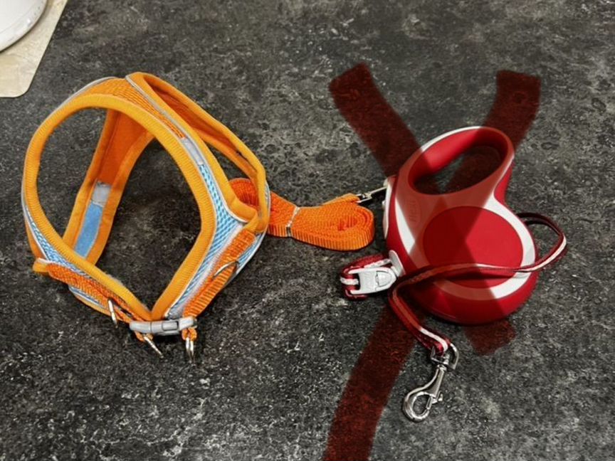 Шлейка для собаки нагрудник